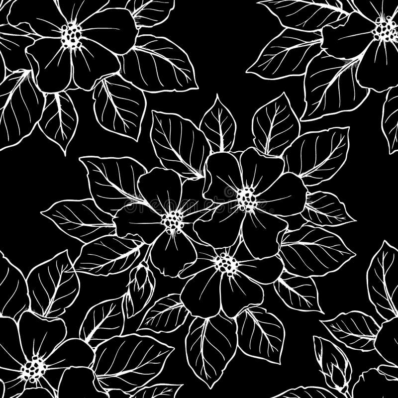 Seamless Contour Pattern of Large White Flowers on a Black Background ...
