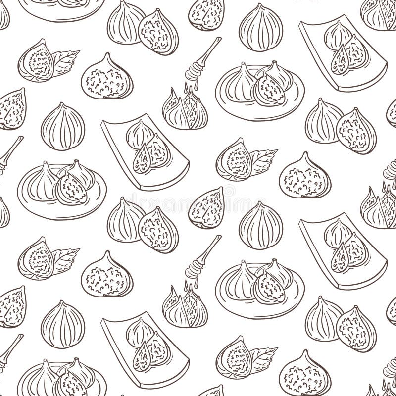 Seamless Contrast Hand Drawn Fig Pattern Stock Illustration ...