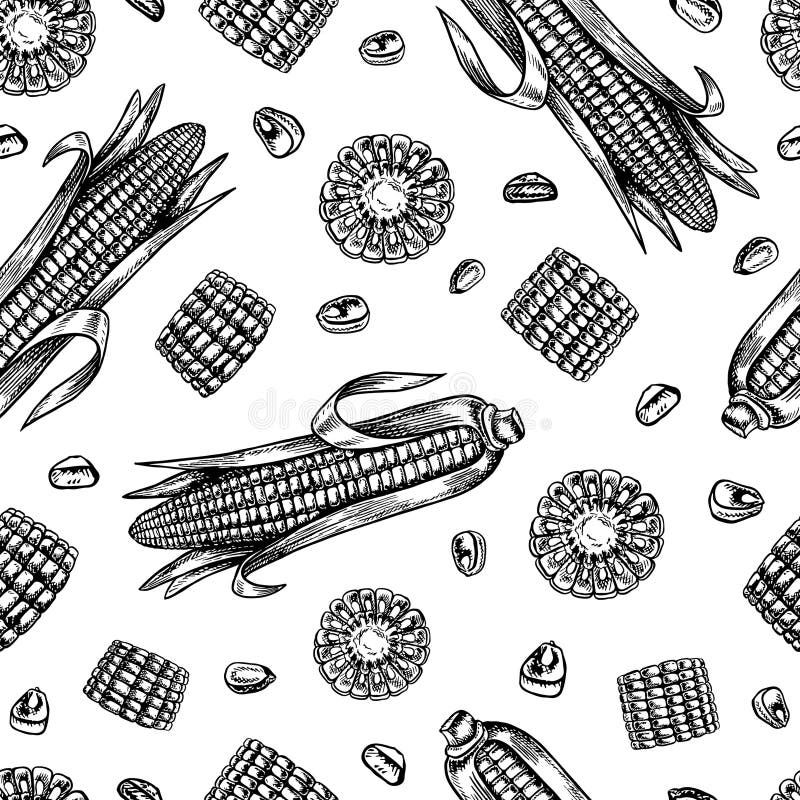 Seamless Corn Pattern. Vector Graphics Depicting Sliced and Whole Corn ...