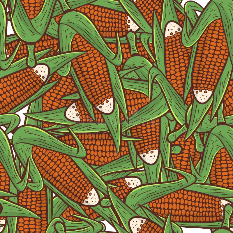 Seamless Corn Pattern Vector Stock Vector - Illustration of botanical ...