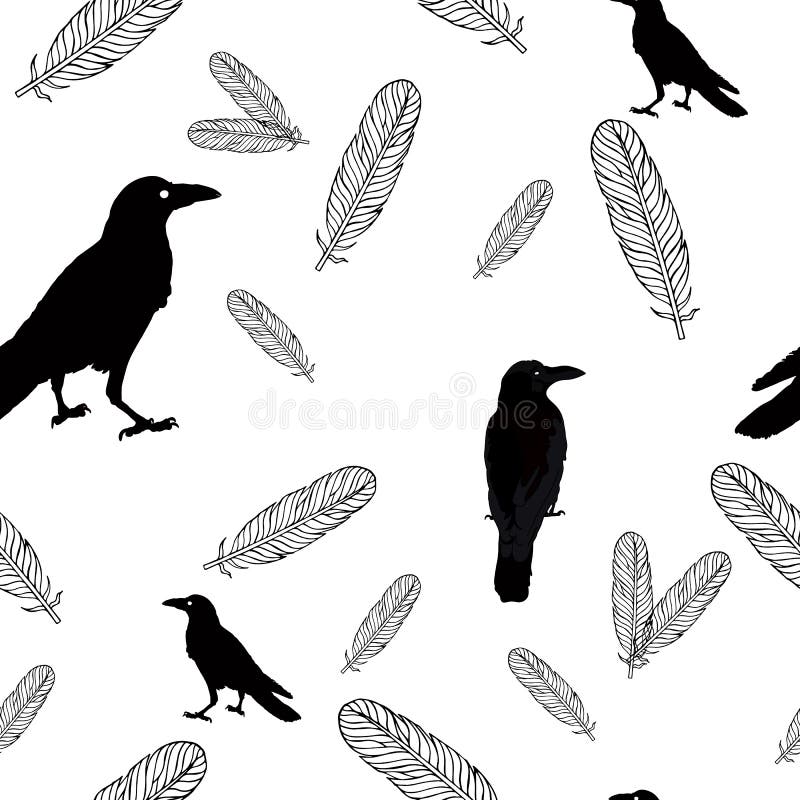 Seamless Crows and Feathers. Vector Stock Vector - Illustration of ...