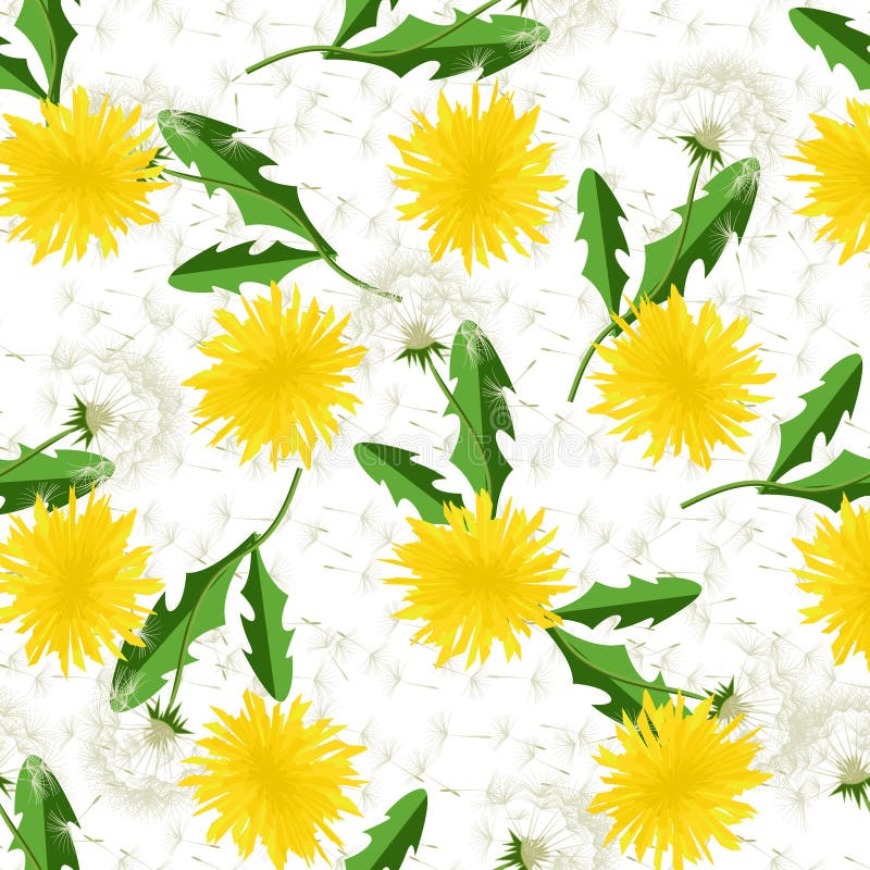 Seamless Dandelion Pattern on Black Background. - Vector Stock Vector ...