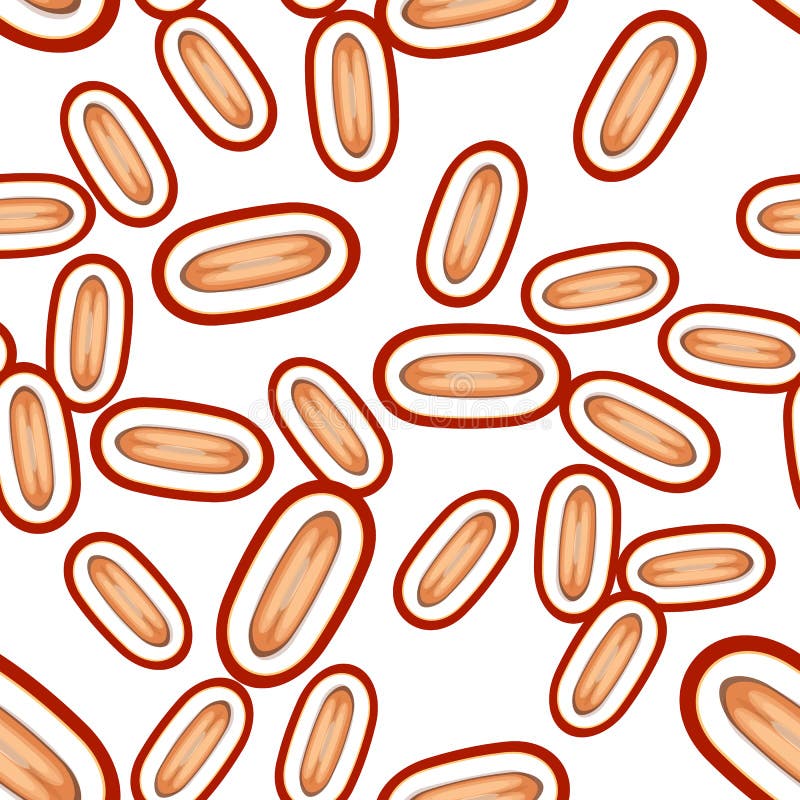 Seamless Dates Vector Pattern. Minimalistic Food Background. Vitamins ...