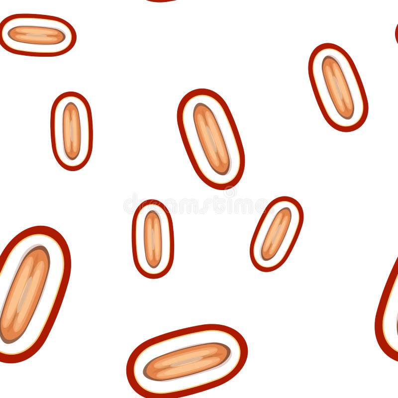 Seamless Dates Vector Pattern. Minimalistic Food Background. Vitamins ...