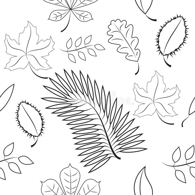 Seamless of Different Leaves. Contour Plot Stock Vector - Illustration ...