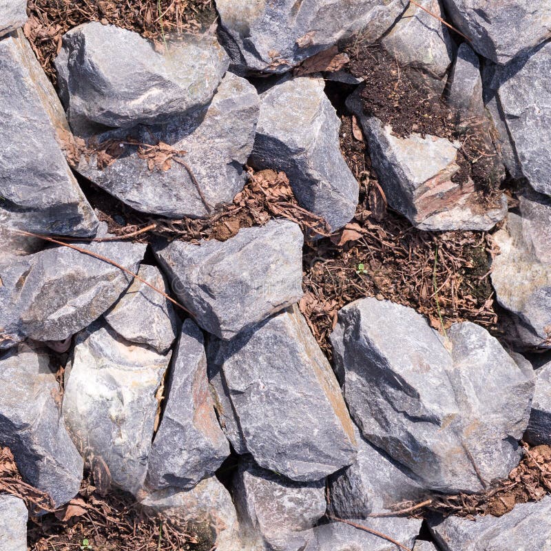 Round Bush Gray Rocks Stock Photos - Free & Royalty-Free Stock Photos ...