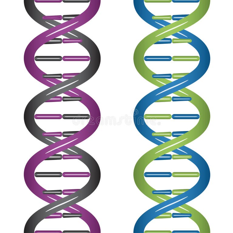 Seamless Dna Spiral Stock Illustrations – 737 Seamless Dna Spiral Stock ...