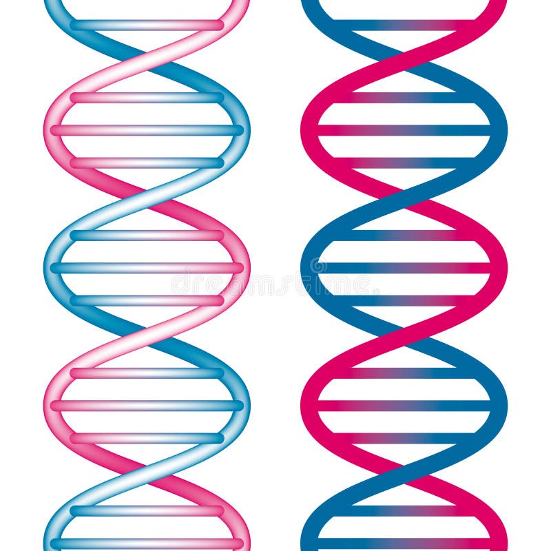 Seamless DNA Symbol stock vector. Illustration of chemistry - 19388457