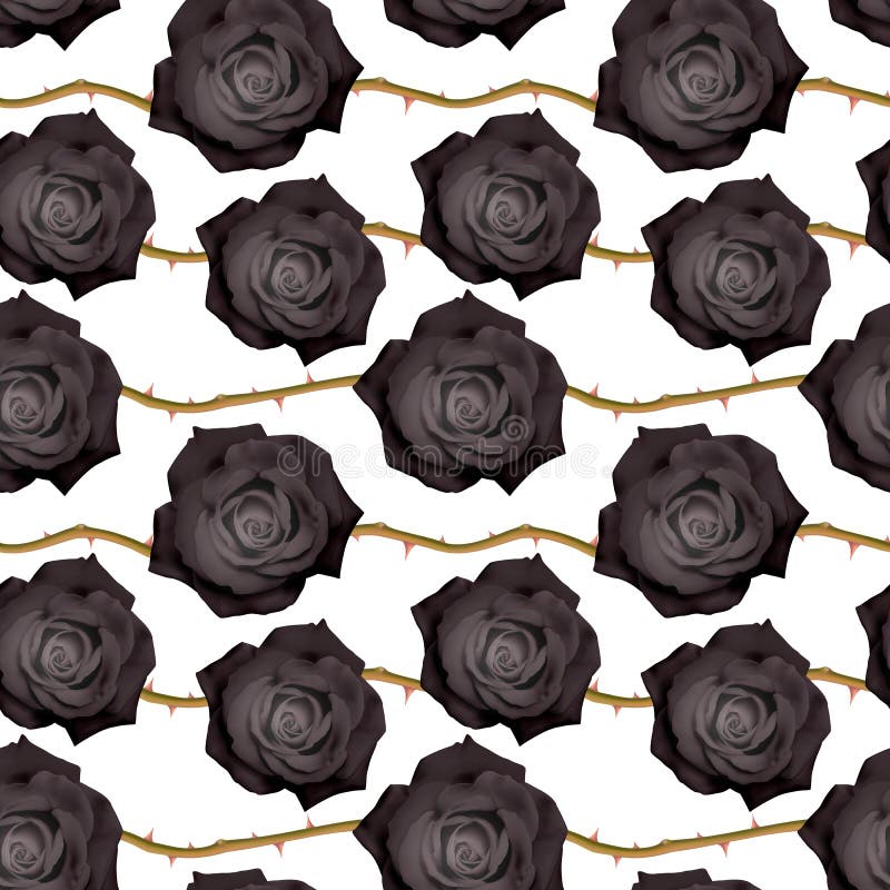 Seamless, Endless Pattern with Roses and Thorns, Black Roses on White ...