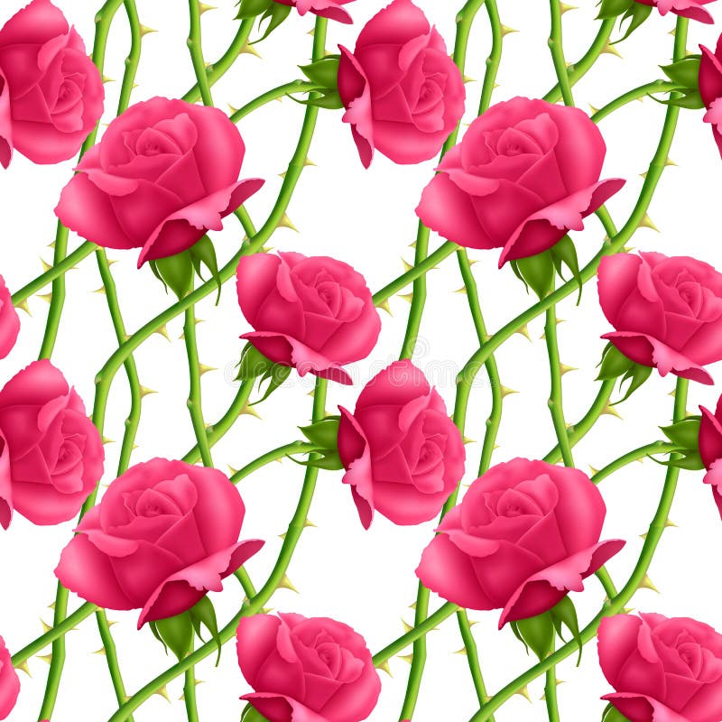 Seamless, Endless Pattern with Roses and Thorns, Bright Pink Roses on ...