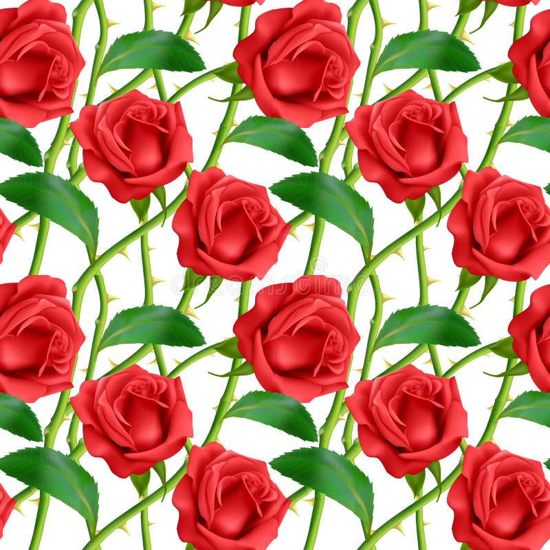 Seamless, Endless Pattern with Roses and Thorns, Bright Pink Roses on ...