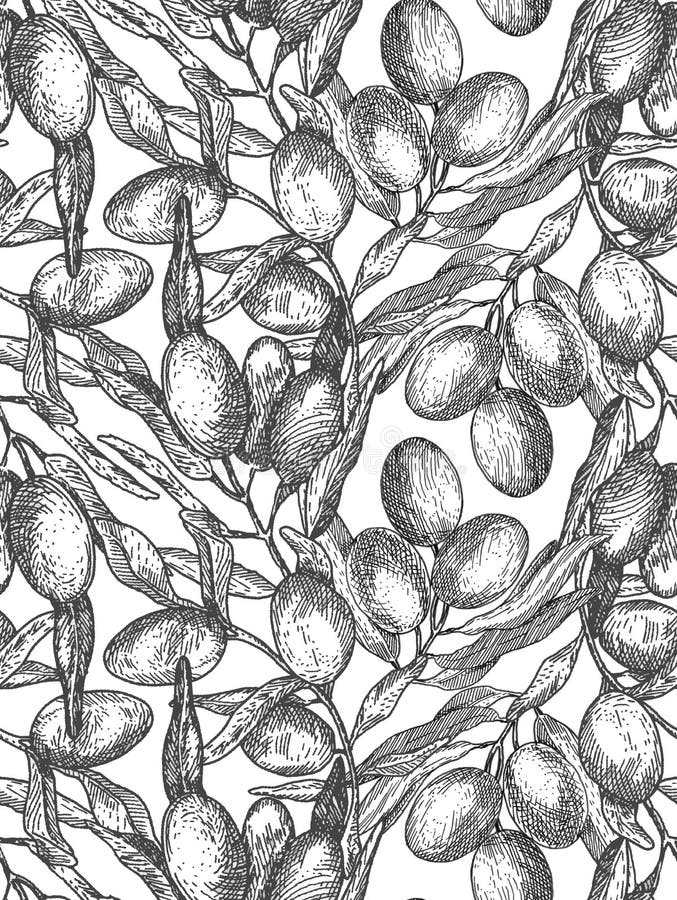 Seamless Engraving Pattern with Olive Branches Stock Vector ...