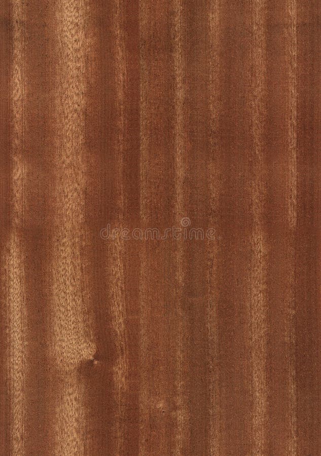 1,170 Seamless Eucalyptus Texture Stock Photos - Free & Royalty-Free ...