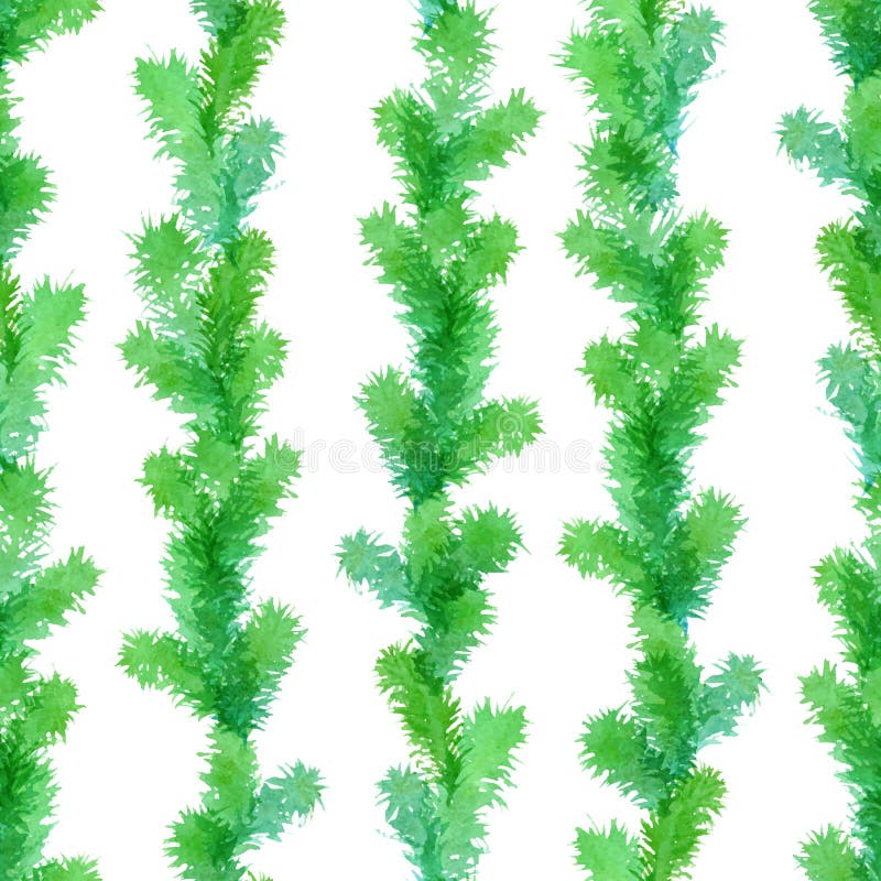 Seamless Evergreen Pattern. Stock Vector - Illustration of isolated ...