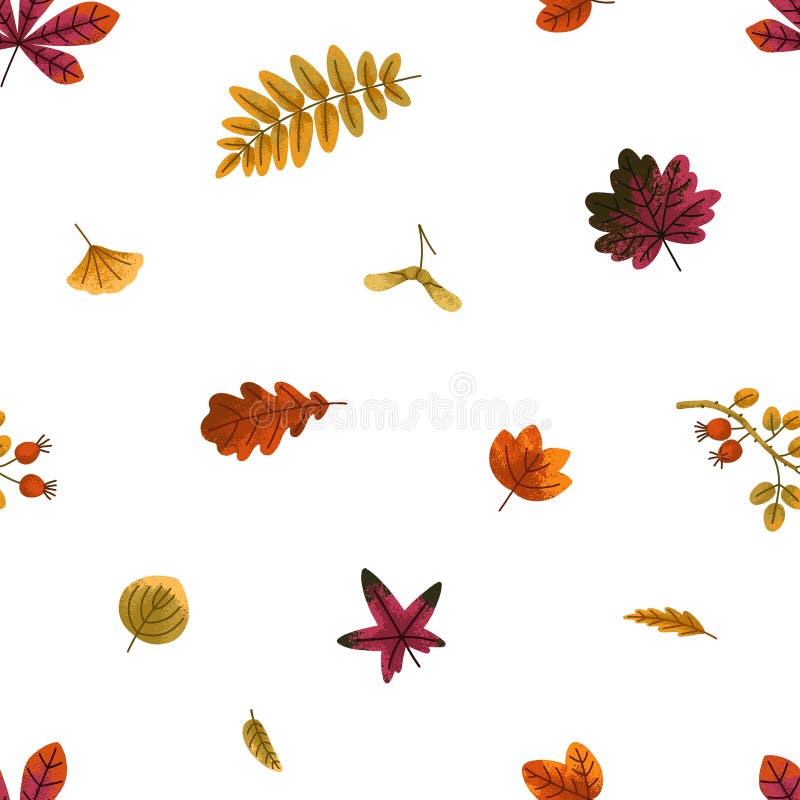 Seamless Fall Leaf Pattern. Autumn Foliage, Endless Design Stock ...