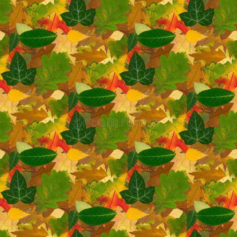 Seamless Fall Texture Background Stock Image - Image of season, october ...