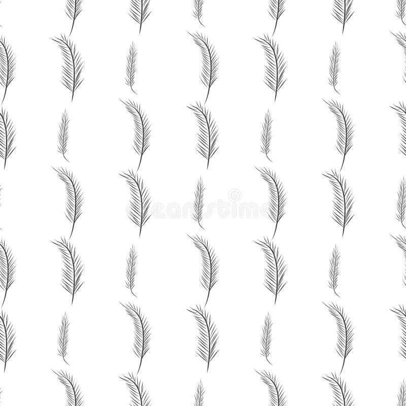 Seamless Feather Illustrations Background Abstract, Hand Drawn. Cartoon ...