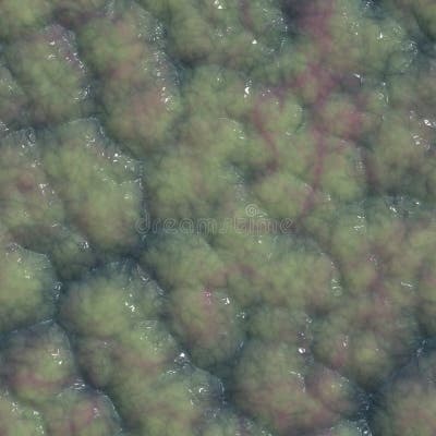 290 Human Flesh Texture Stock Photos - Free & Royalty-Free Stock Photos ...