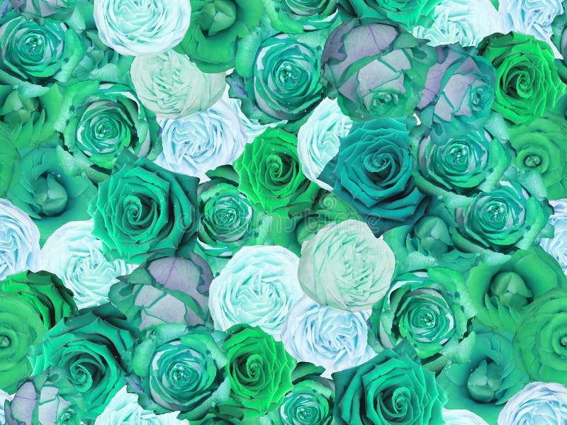 Seamless Floral Background with Different Roses. Stock Illustration ...