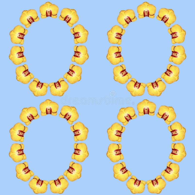 Yellow Orchids for Spring Offers, Vector Illustration Stock Vector ...