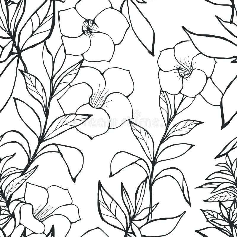 Alamanda Plant Stock Illustrations – 78 Alamanda Plant Stock ...