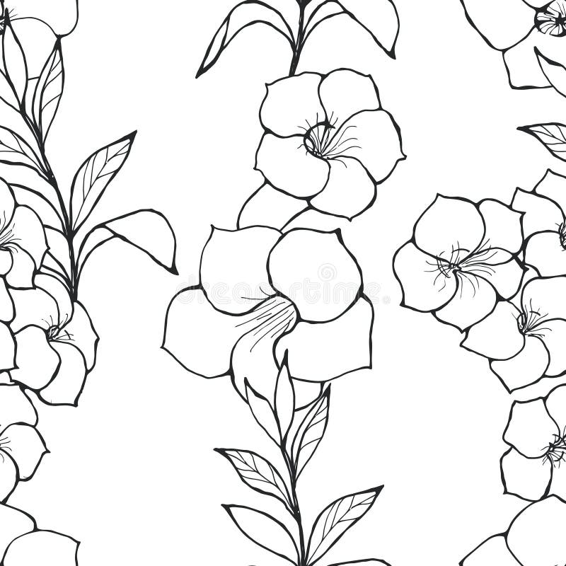 Alamanda Stock Illustrations – 78 Alamanda Stock Illustrations, Vectors ...