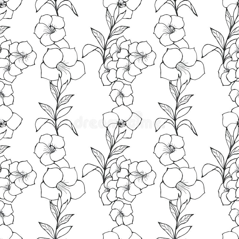 Wirh Alamanda Stock Illustrations – 1 Wirh Alamanda Stock Illustrations ...