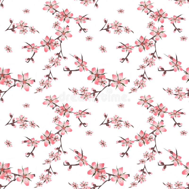 Seamless Floral Pattern with Cherry Blossom Texture on White Stock ...