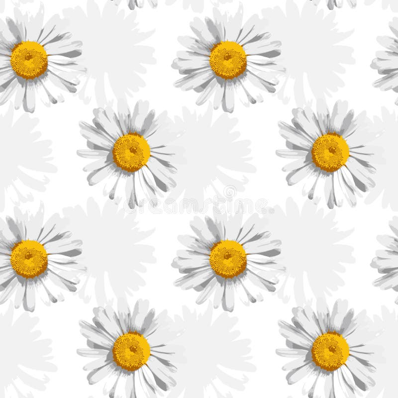 Seamless Floral Pattern, Daisies on a White Background Stock Vector ...
