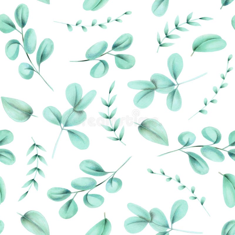 Seamless Floral Pattern with Eucalyptus Branches Stock Illustration ...