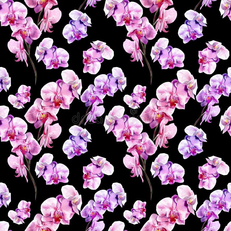 Seamless Floral Pattern with Hand Drawn Orchids on Black Background ...