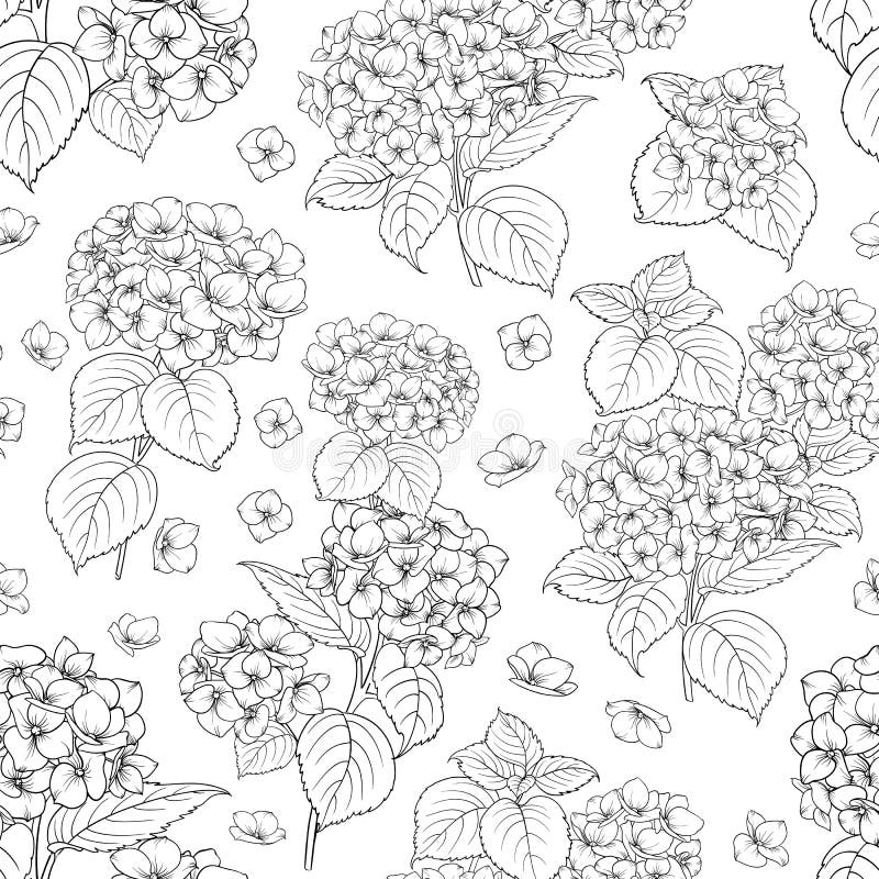 Seamless Floral Pattern with Hydrangea. Vector Illustration. Stock ...