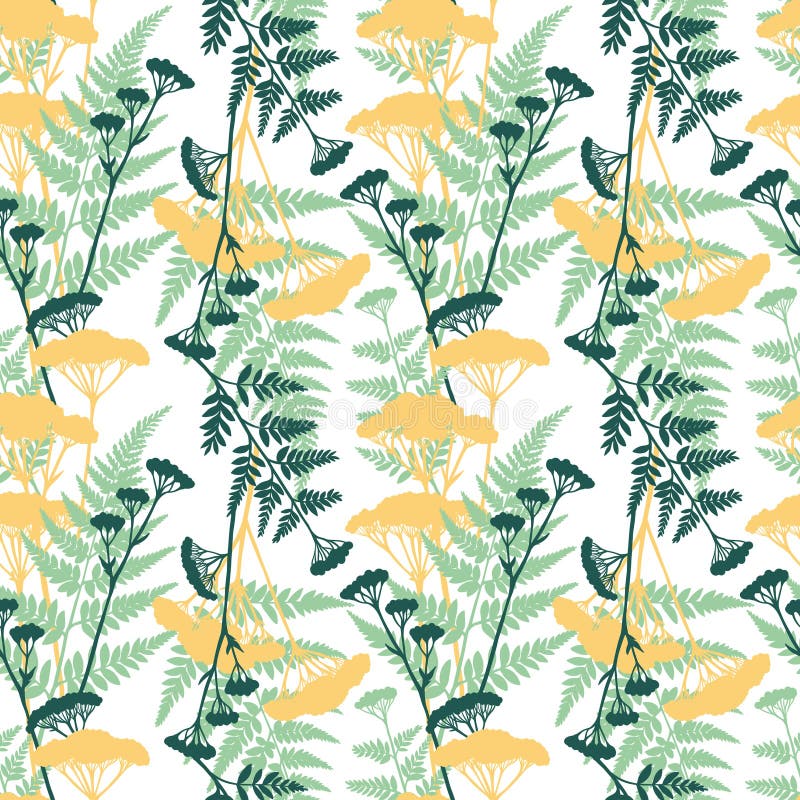 Seamless Floral Pattern, Illustration of Yarrow Flowers Stock Vector ...
