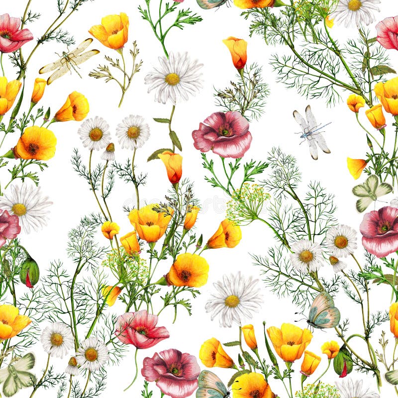 Hand Drawn Botanical Repeat Floral Pattern Stock Illustration ...