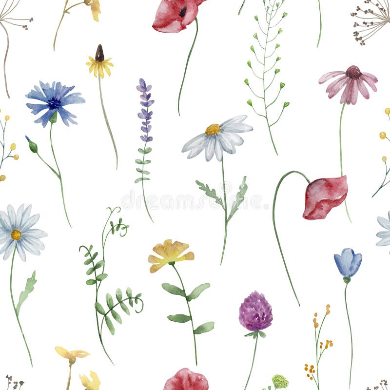 Seamless Floral Pattern of Watercolor Wildflowers Stock Illustration ...
