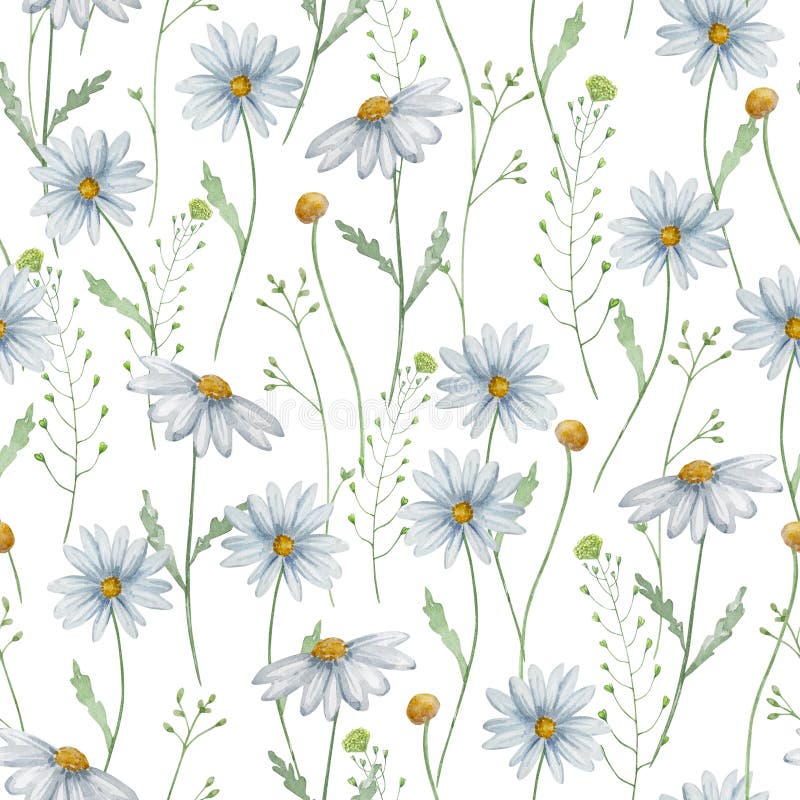 Seamless Floral Pattern of Watercolor Wildflowers Stock Illustration ...