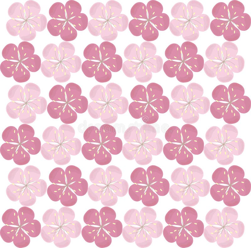 Seamless Floral Texture. Pink Sakura Flowers on White Background Stock ...