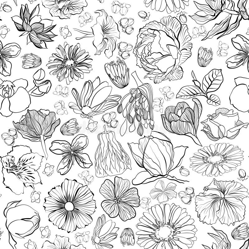 Vector Pattern with White Flowers Stock Vector - Illustration of exotic ...