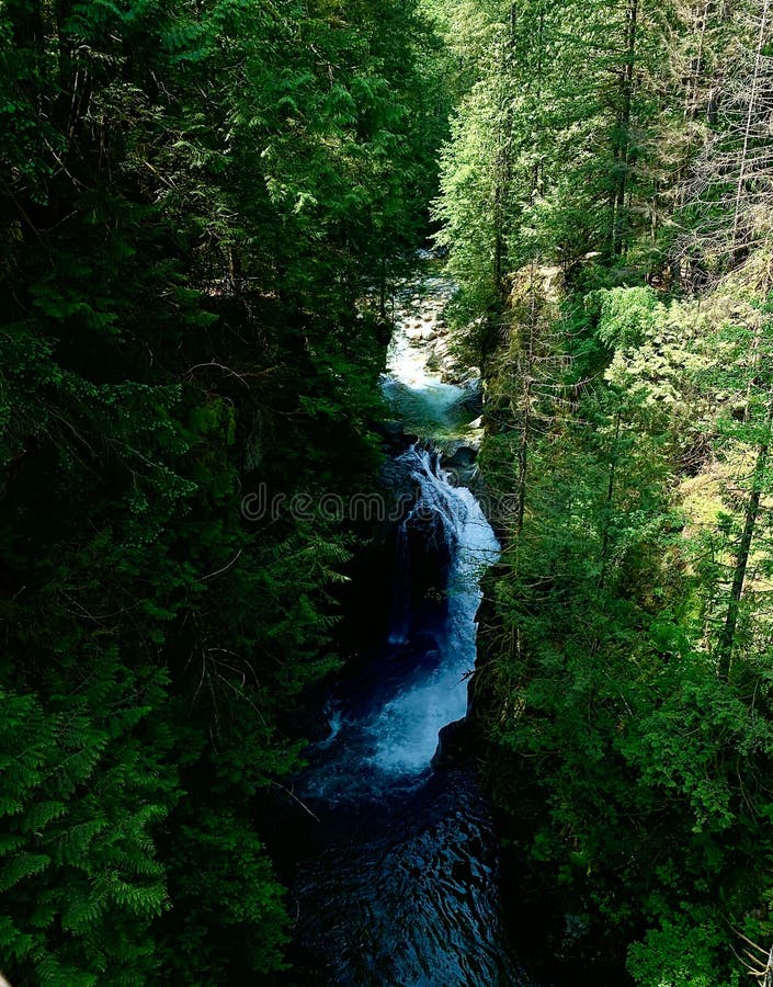 A Stream in Nature at Lynn Valley Park in North Vancouver BC, May 28 ...