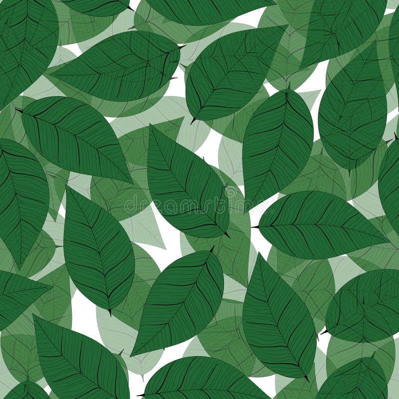 Seamless Flower Leaves Pattern Small Leaf Design Stock Illustration ...
