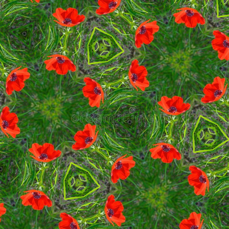 Seamless flower pattern stock image. Image of digital - 39497887