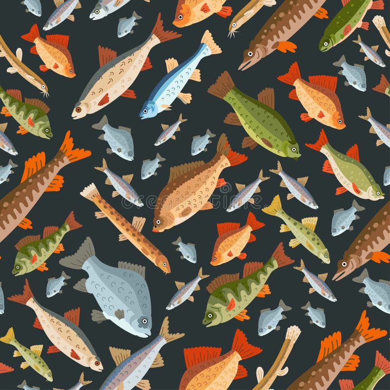 Seamless Freshwater Fish Pattern. a Vector Seafood Stock Vector ...