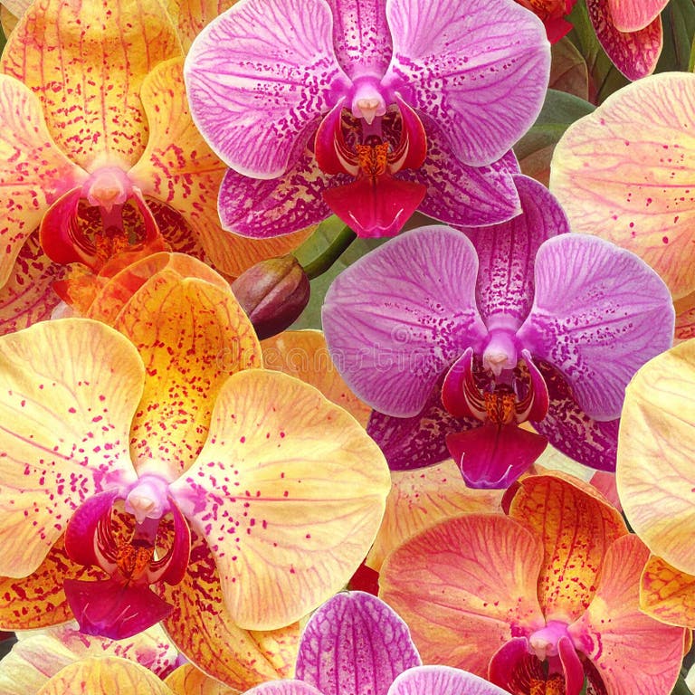 Seamless Full Frame Phalaenopsis Orchid Pattern Stock Illustrations – 2 ...