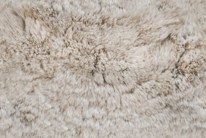 Seamless fur texture stock image. Image of synthetics - 193558939