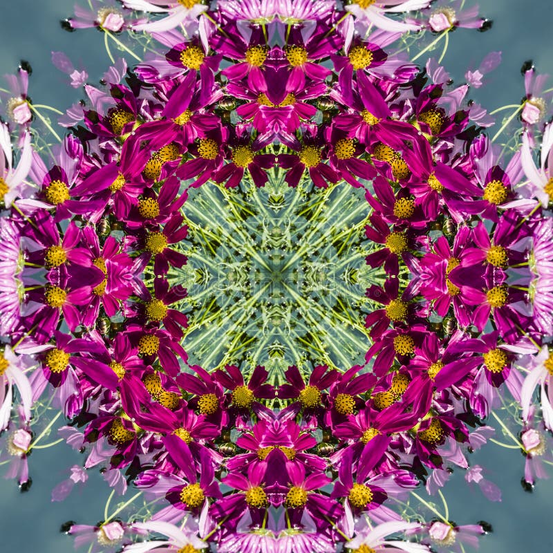 Seamless Geometric Floral Pattern of Pink Wildflowers Stock Image ...