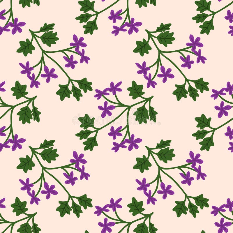 Seamless geranium pattern stock vector. Illustration of blossom - 210264923