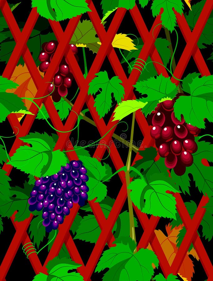 Grape seamless pattern stock vector. Illustration of artistic - 24129368