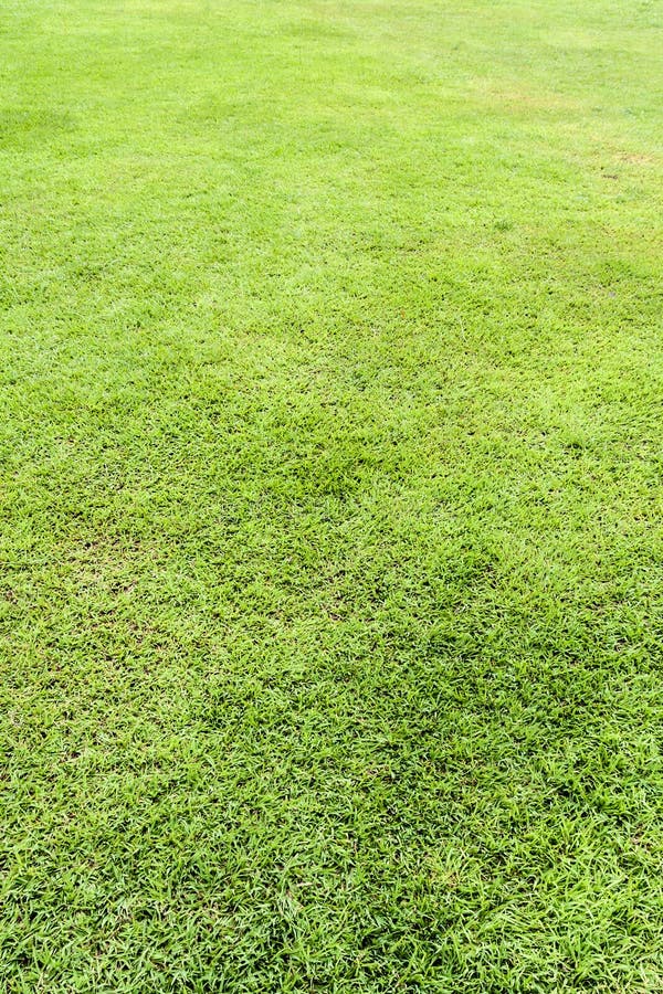 Perspective Seamless Grass Texture Stock Photos - Free & Royalty-Free ...