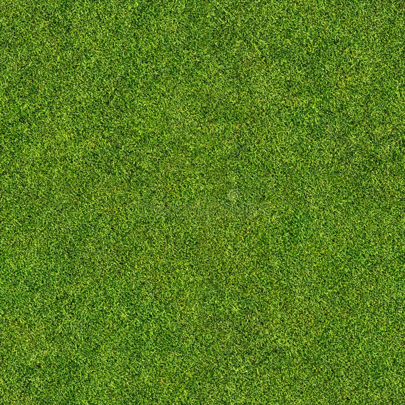 9,676 Seamless Grass Texture Stock Photos - Free & Royalty-Free Stock ...