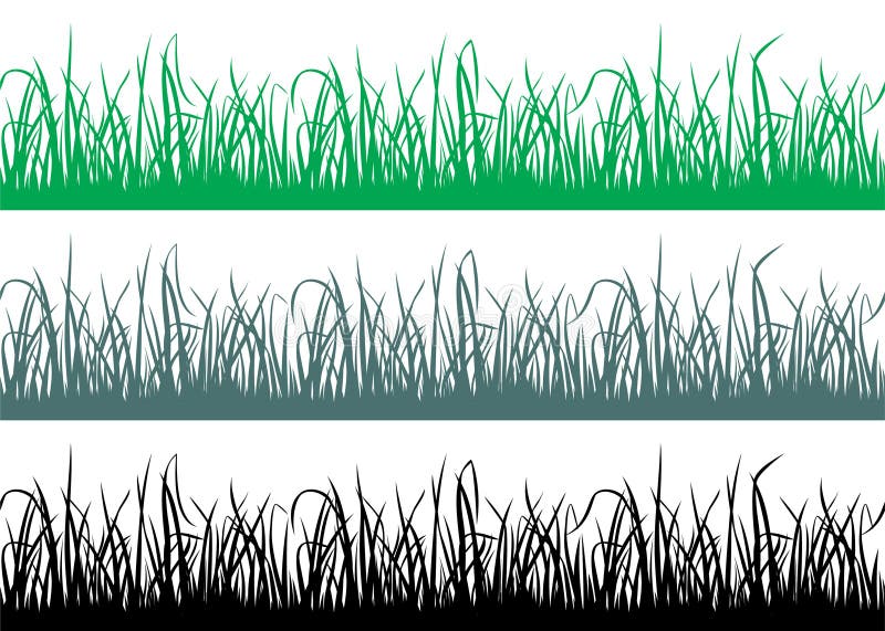 Seamless Grass Pattern Stock Vector Illustration Of Lawn 16014242